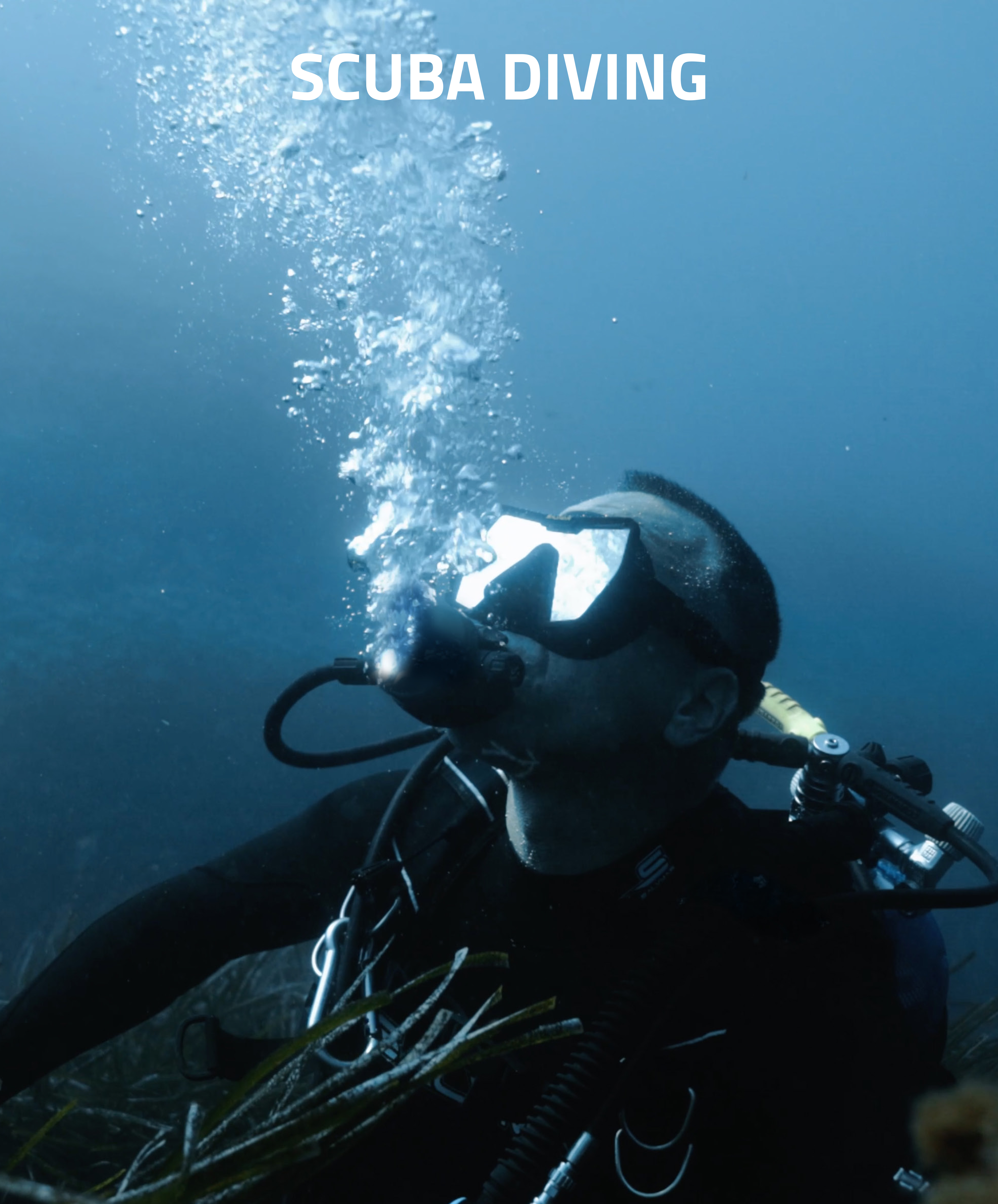 SALVIMAR - Spearfishig, Swim and Snorkeling